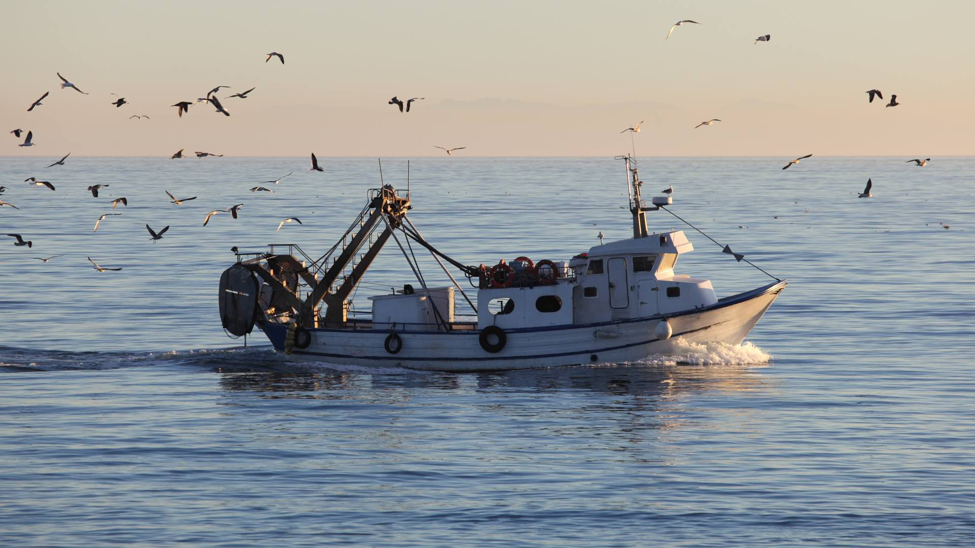 Fishing Vessel Liability Insurance Policy 2024 - The Shipowners' Club