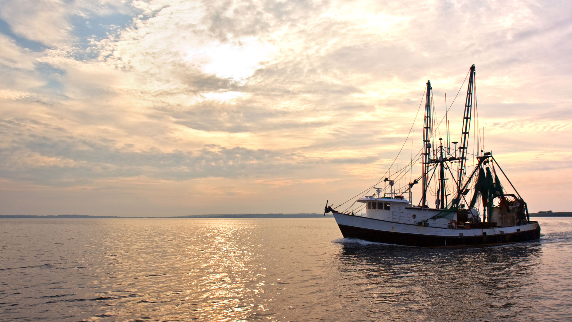 Fishing Vessel Liability Insurance Policy 2023 - The Shipowners' Club